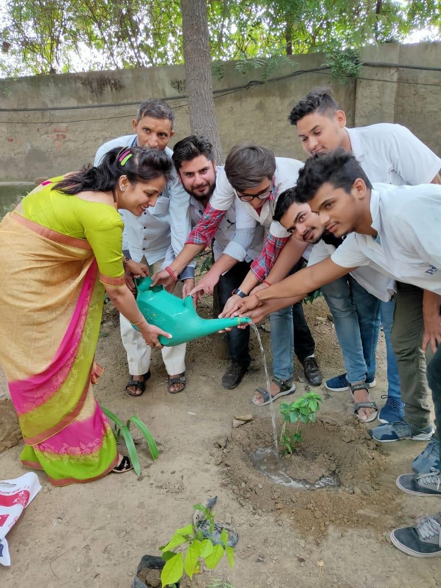 Tree Plantation Drive - PDM University, Bahadurgarh (Delhi NCR), India