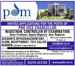Jobs@PDM - PDM University, Bahadurgarh (Delhi NCR), India